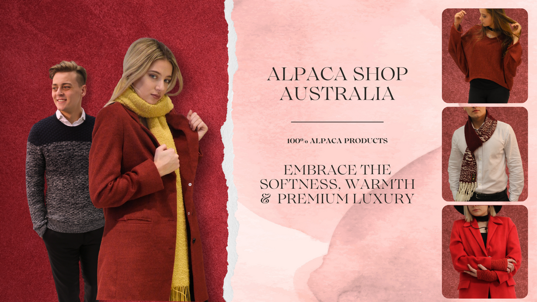 Alpaca Shop in Rundle Mall Adelaide – Alpaca Shop Australia