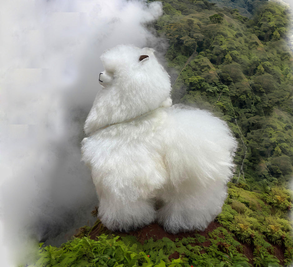 Alpaca Toys – Alpaca Shop Australia